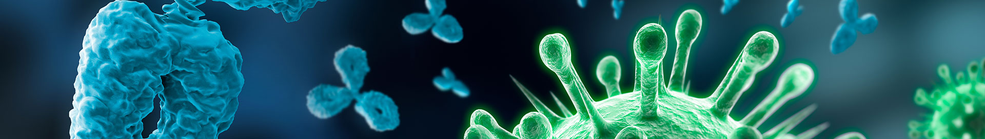 The Labex ImmuNE is launching a call for interdisciplinary projects - Labex ImmuNE